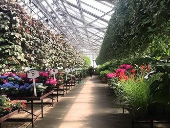 Kanes Flowers Peabody Hours | Best Flower Site