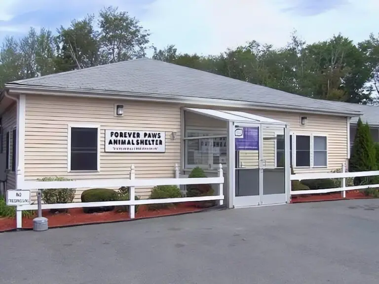 17 Best Animal Shelters In Massachusetts 2026