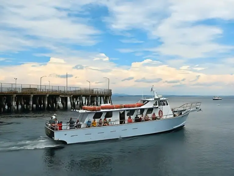 Top 6 Boat Tours In Bar Harbor, Maine 2026